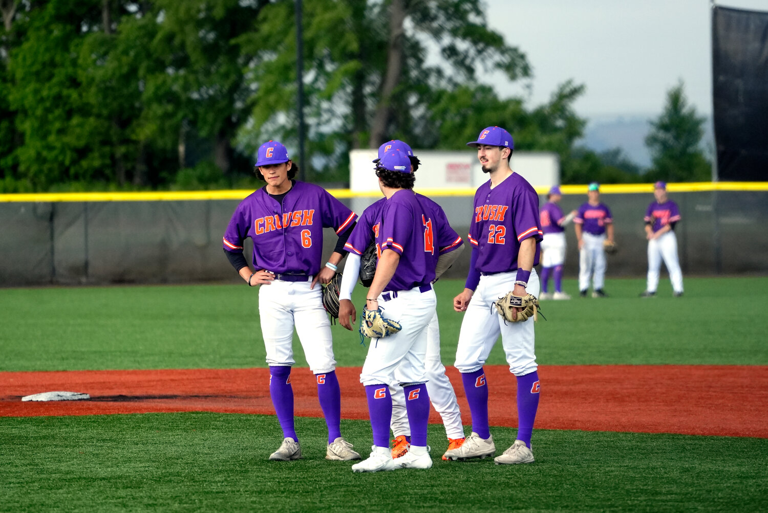Crush bats go cold in first loss of season - Cortland Standard
