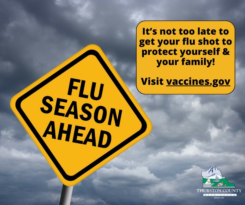 Flu death / Olympia's new councilmember / Poisonous jewels ...