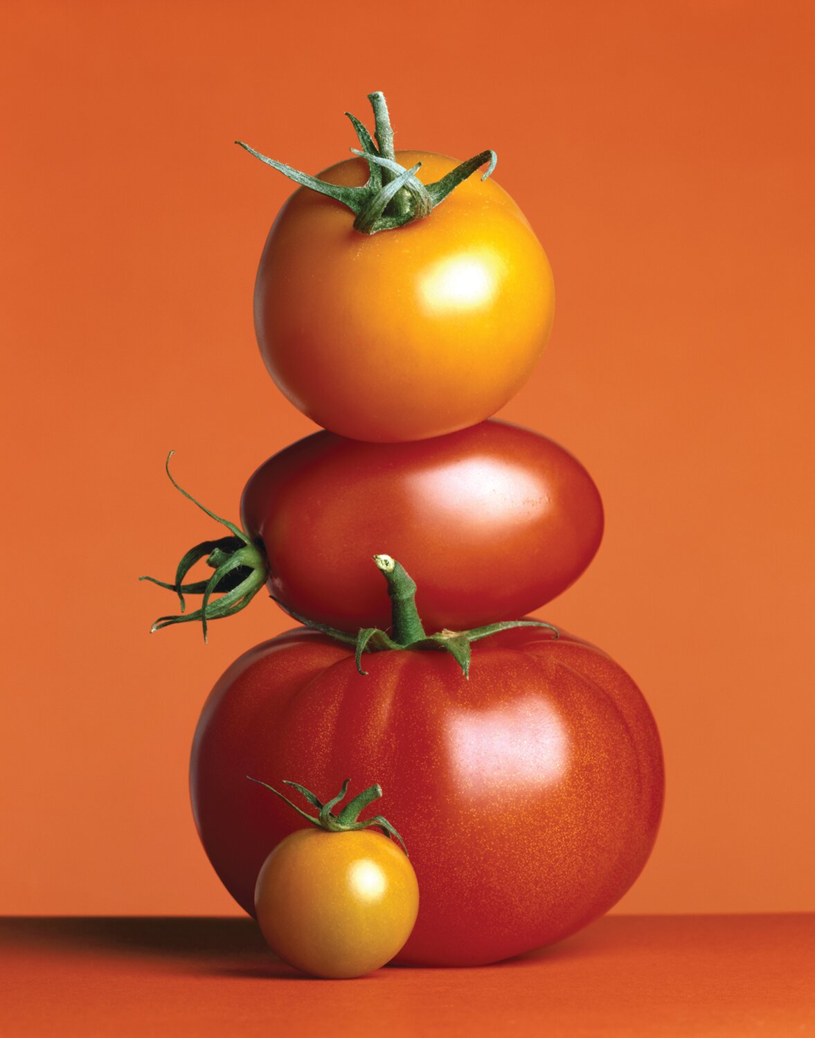 Tomatoes - Goodhue-Bellechester Messenger
