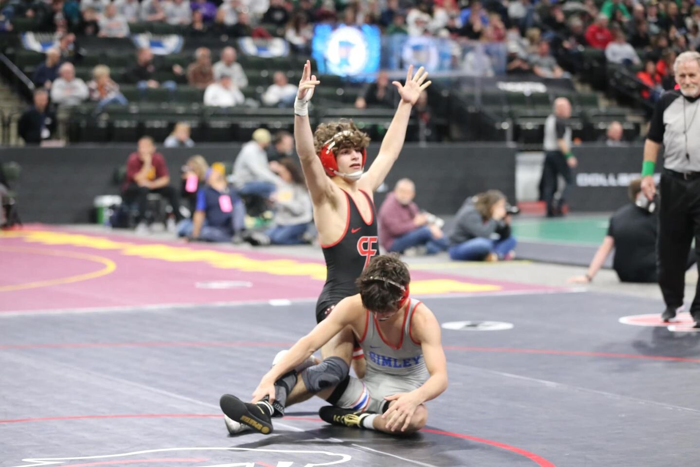 Calvin Singwald places 2nd at the MN State High School Wrestling ...