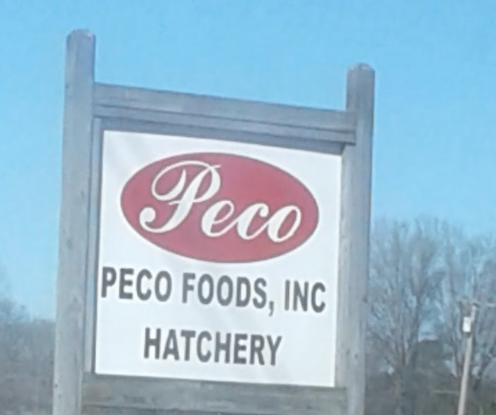 Peco Foods announces Philadelphia closure