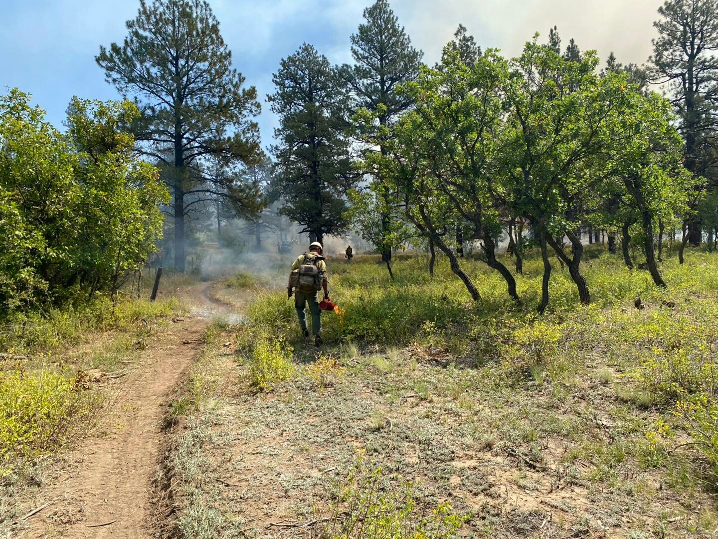 Fire crews complete 400 acres at Brockover Prescribed Fire Project ...