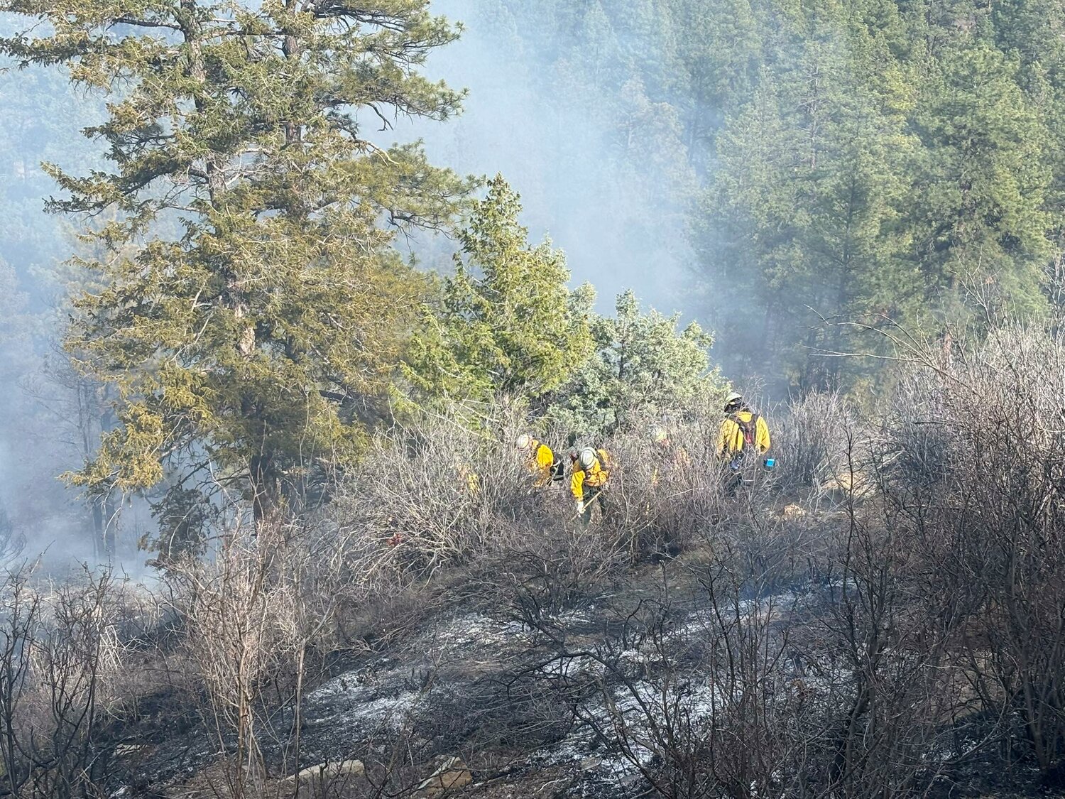 Sheriff's office: Grass fire burns up County Road 917 - The Pagosa ...
