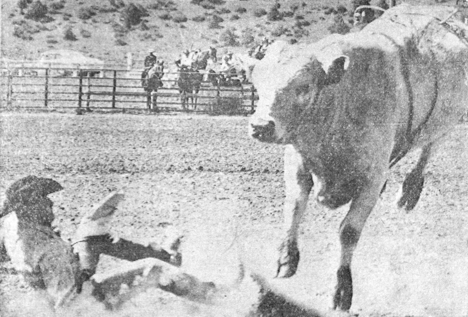 Looking Back: June 4, 2026 - The Pagosa Springs Sun
