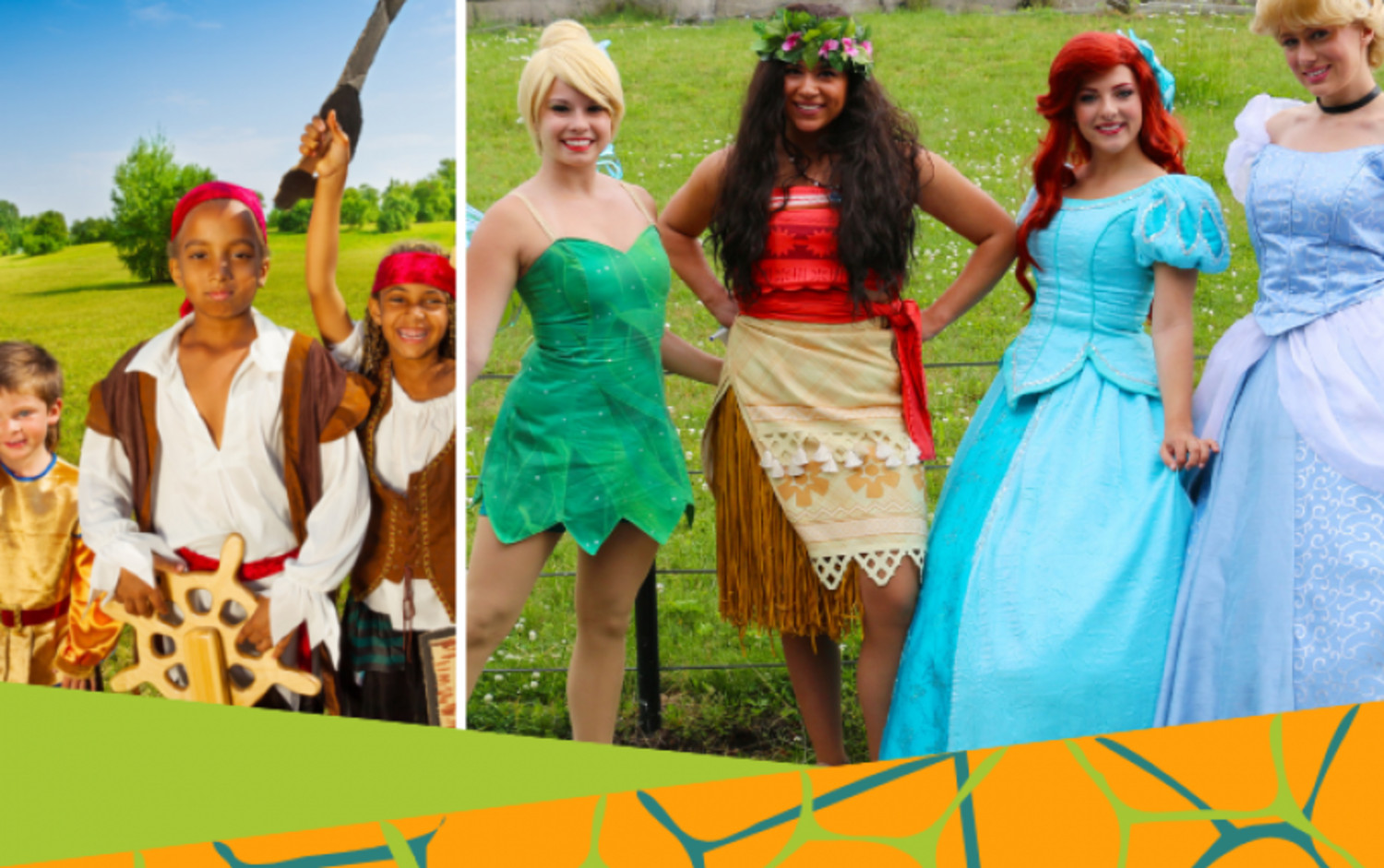Disney Princess And Pirate Party