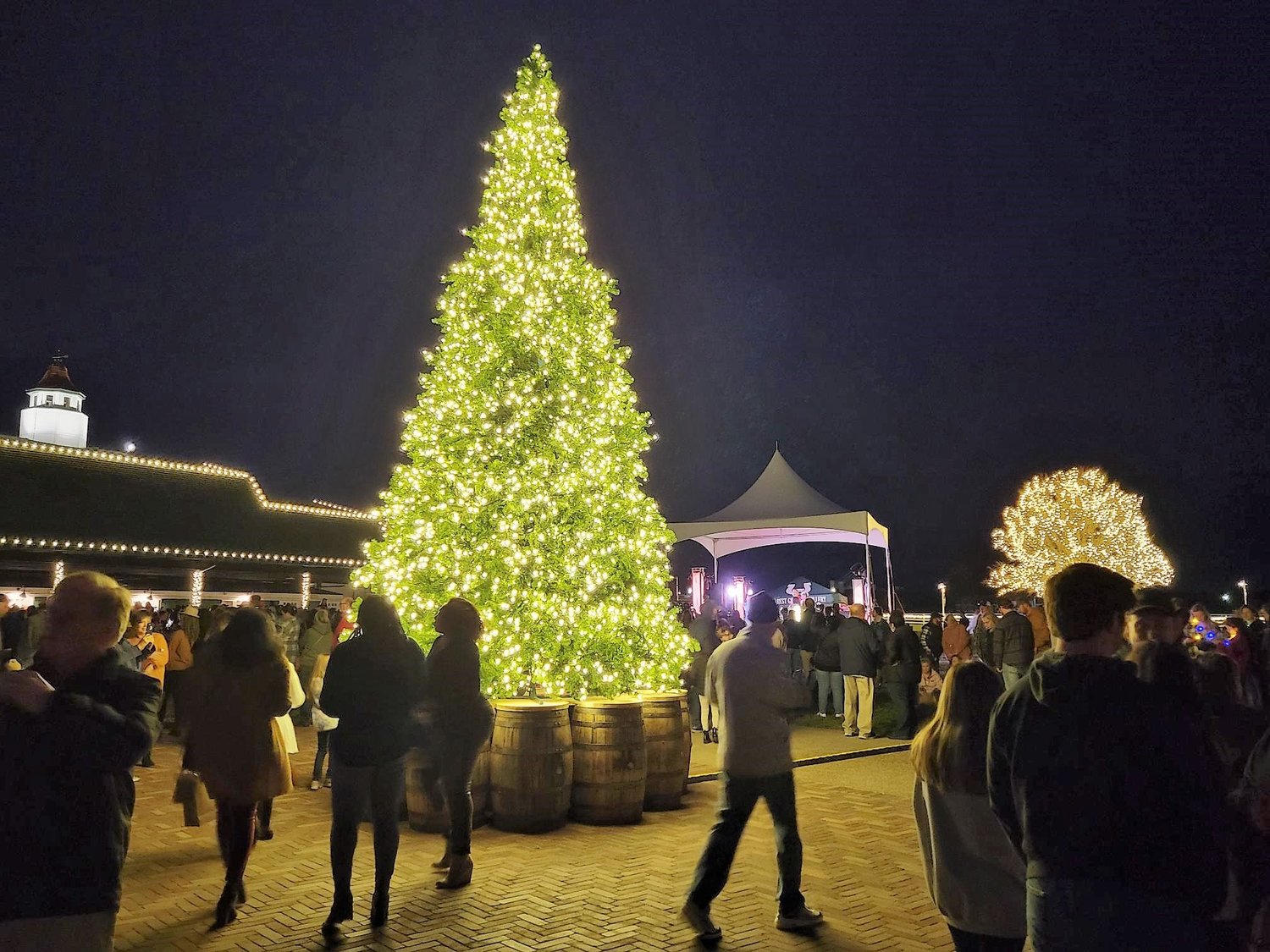 Nearest Green lights up for Christmas - Shelbyville Times-Gazette