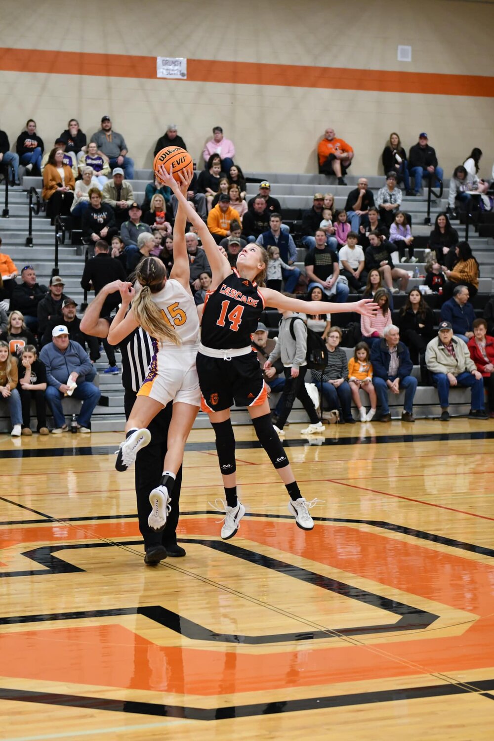 Lady Champs Rally Past Viqueens Into District Title Game - Shelbyville ...