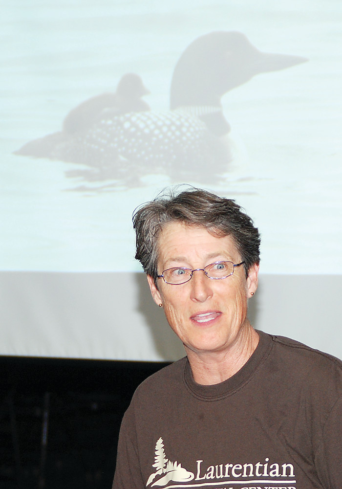 The Loon Ranger - The Timberjay