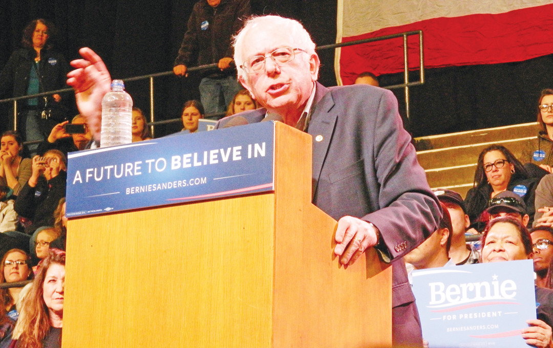 FEELING THE BERN! | The Timberjay