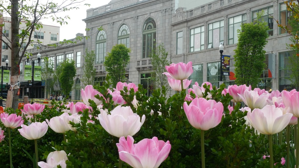 What makes Montclair 1 of 3 chosen Best U.S. Main Streets? | The Jersey ...